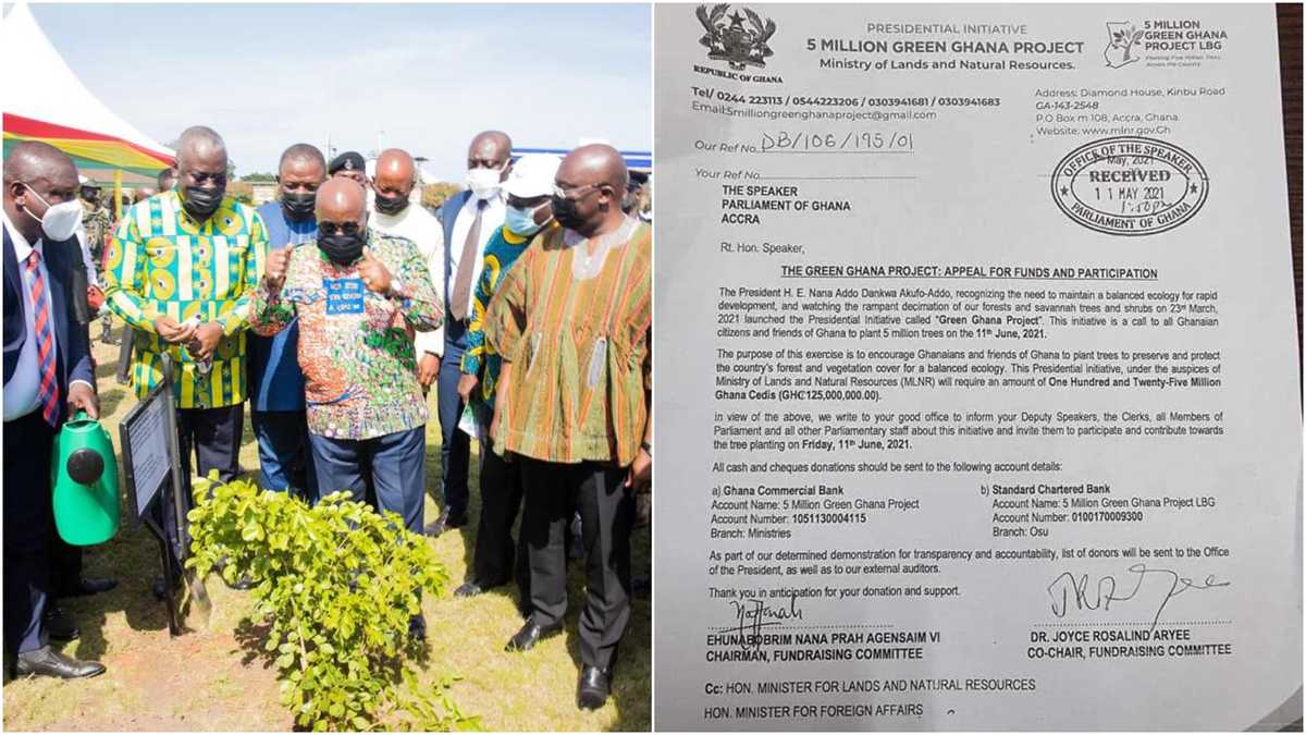 Akufo-Addo's 5-million-trees Green Ghana project will require GH₵125 ...