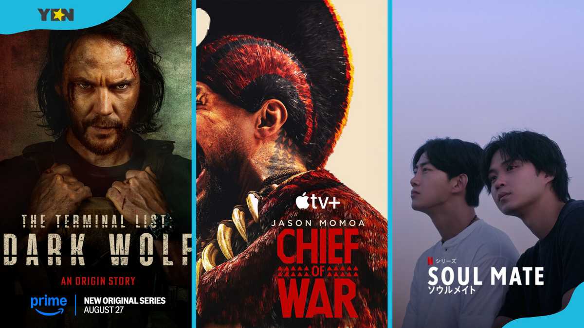 Top 15 new drama series August 2025: Must-watch titles and release ...