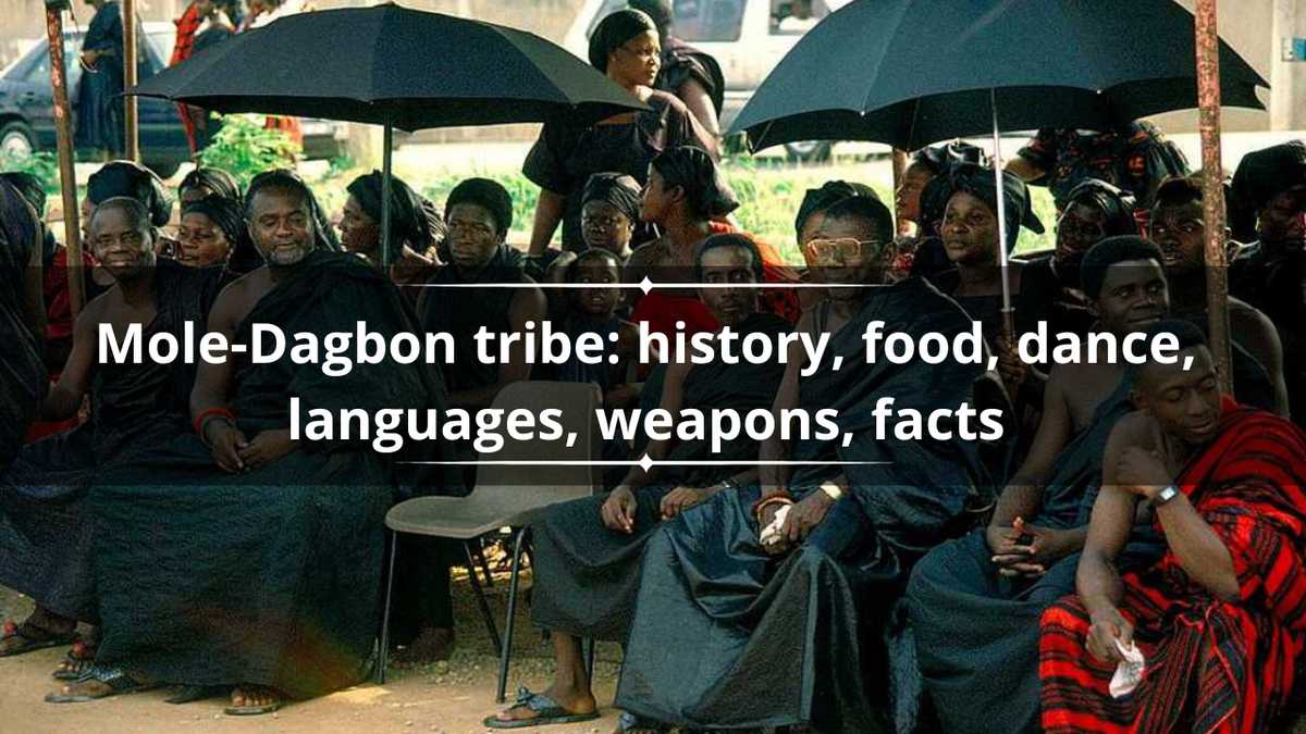 Mole-Dagbon tribe: History, food, dance, languages, weapons, facts ...