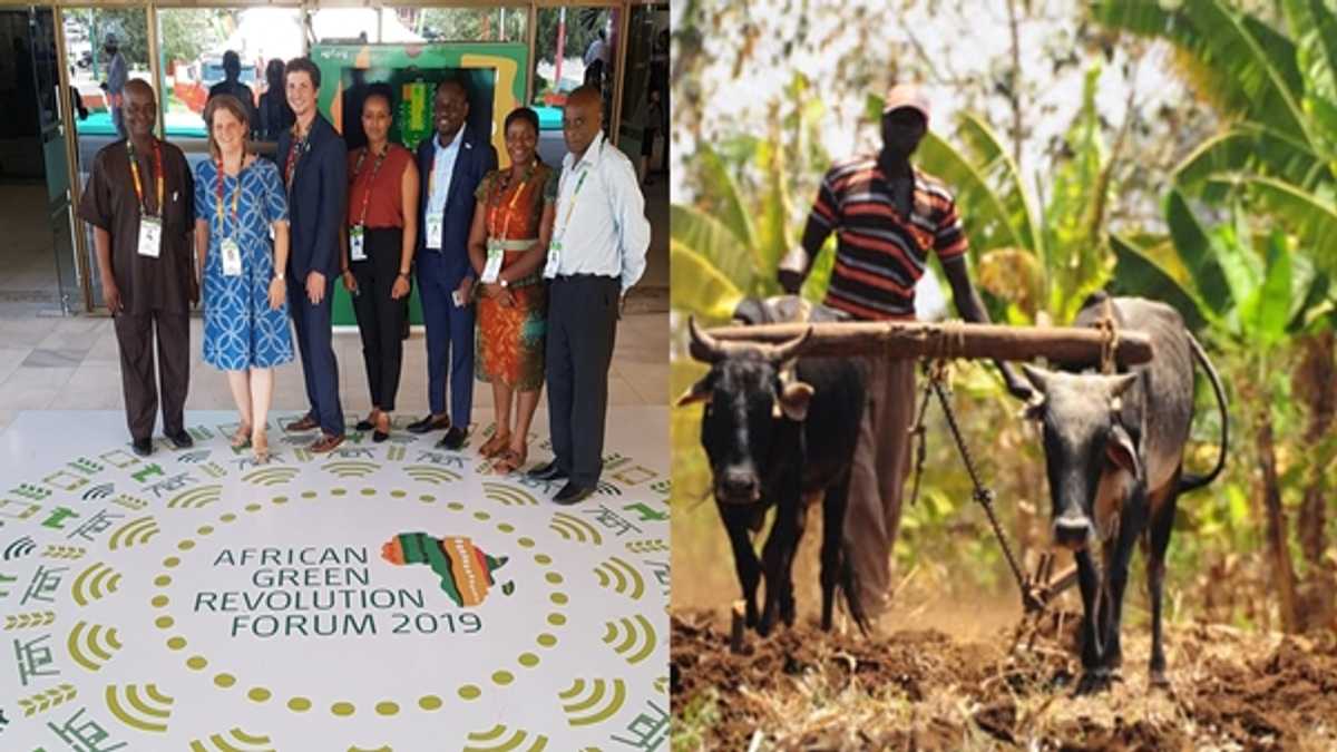 African Green Resources: African farmers to enjoy financial scheme ...