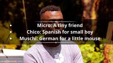 150+ best nicknames for short people that are cute and funny - YEN.COM.GH