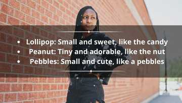 150+ best nicknames for short people that are cute and funny - YEN.COM.GH