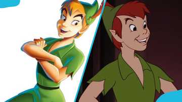 50 most iconic male Disney characters of all time with pictures - YEN ...