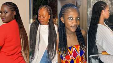50+ cornrow rasta styles in 2022: amazing styles guaranteed to turn ...