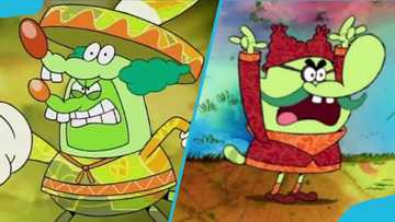 20 most popular Chowder characters ranked: Roles and personality ...