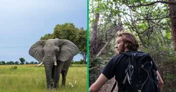 Two Men Heart-Stopping Encounter With Charging Elephant Goes Viral On ...