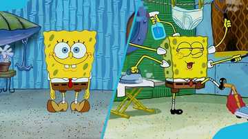 How old is SpongeBob SquarePants? The cartoon character's real age ...