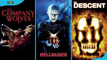 The 20 most iconic movie posters every film lover should know - YEN.COM.GH