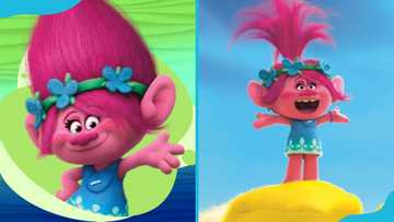 All the Trolls characters: Meet the colourful cast and their roles ...