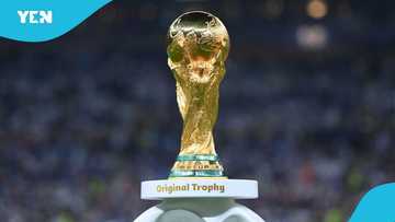 Maths Genius Who Correctly Predicted Last 3 World Cup Winners Makes ...