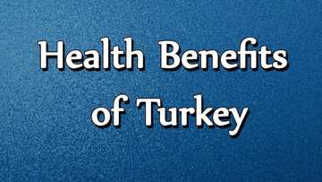Health benefits of turkey berry - YEN.COM.GH