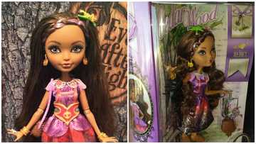 All the Ever After High characters list: Know their names and roles ...