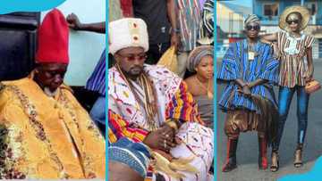 Mole-Dagbon tribe: History, food, dance, languages, weapons, facts ...