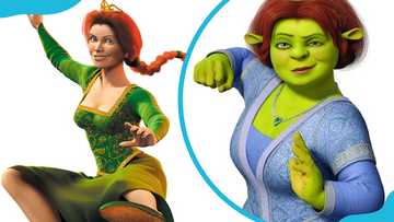 Fiona Shrek: Everything you need to know about Princess Fiona - YEN.COM.GH