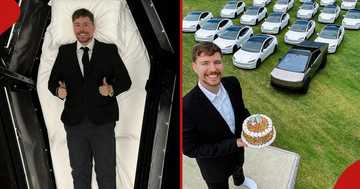 Mr Beast To Give Away 26 New Tesla Cars To Celebrate His Birthday ...