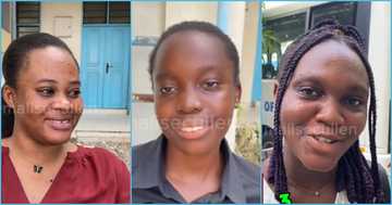 Dutch Passport Or PhD In Ghana: UniMAC Students Spark Reactions As They ...