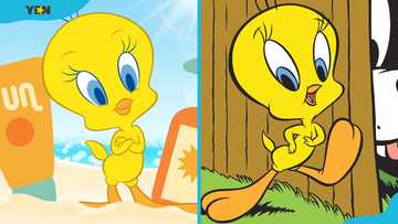 30 famous yellow cartoon characters of all time ranked - YEN.COM.GH
