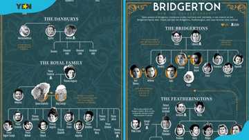 Explore the Bridgerton family tree: All the Bridgerton characters and ...
