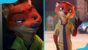 30 most famous animal cartoon characters' names and pictures - YEN.COM.GH