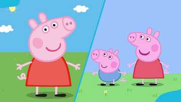 Meet the Peppa Pig characters and discover their unique personalities ...