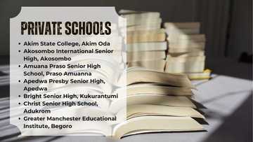 List of senior high schools in the Eastern Region of Ghana in 2025 ...