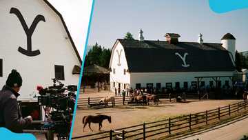 Where is the Yellowstone Ranch filmed? The real Dutton ranch and how to ...