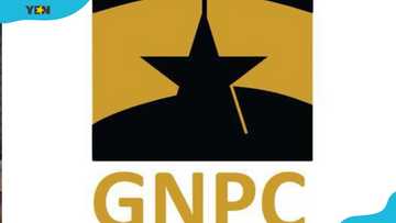 GNPC scholarship guide: Applications, foundation, and career ...