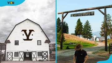 Where is the Yellowstone Ranch filmed? The real Dutton ranch and how to ...