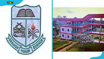 Adonten Senior High School courses and the application guide - YEN.COM.GH