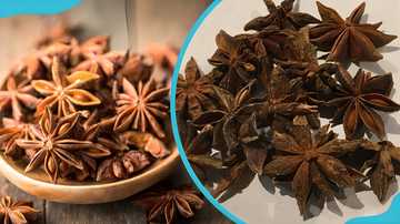 35+ common spices in Ghana: local names and uses you should know - YEN ...