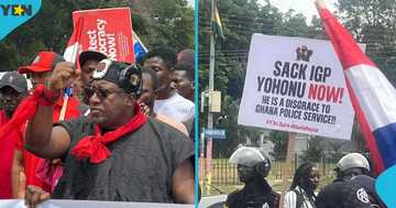 NPP Supporters Storm Jubilee House to Submit Petition Against Alleged ...