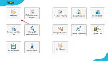 GOG payslip in Ghana: Full guide on how to register, activate, check ...