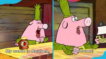 20 most popular Chowder characters ranked: Roles and personality ...