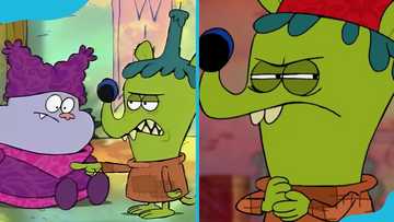 20 most popular Chowder characters ranked: Roles and personality ...