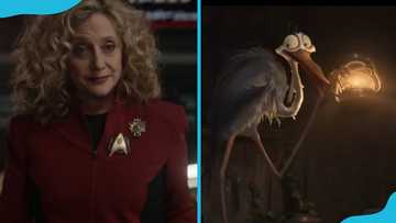 Migration cast: Who’s in the cast of the new drama Migration? - YEN.COM.GH