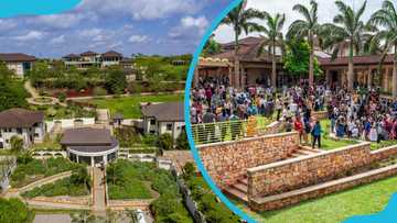 Ashesi University courses, cut off points and admission requirements ...