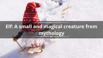 110+ best nicknames for short people that are cute and funny - YEN.COM.GH