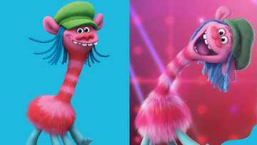 All the Trolls characters: Meet the colourful cast and their roles ...