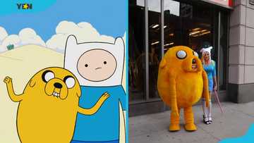 30 famous yellow cartoon characters of all time ranked - YEN.COM.GH