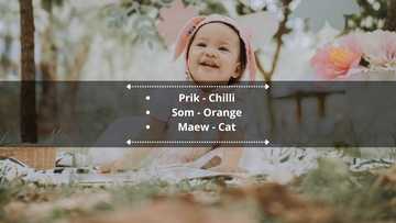 170+ dazzling Thai girl names for your child and their meanings - YEN ...
