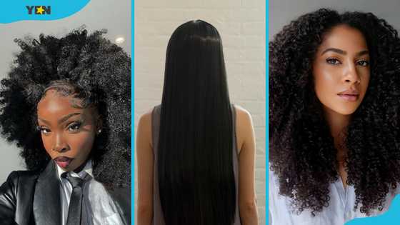 What are the types of black hair? Textures, shades and maintenance ...