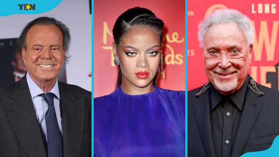 Meet the top 30 richest singers in the world in 2024 - YEN.COM.GH