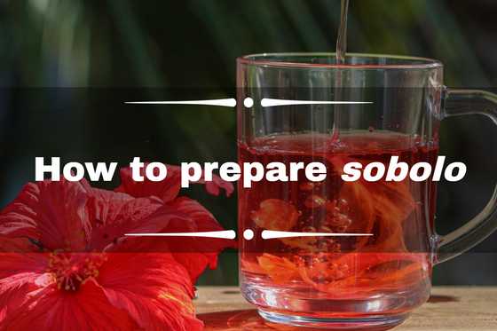 Here is how to prepare sobolo drink with pineapple in Ghana - YEN.COM.GH