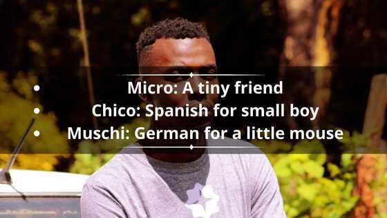 150+ best nicknames for short people that are cute and funny - YEN.COM.GH