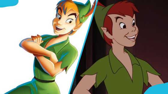 50 most iconic male Disney characters of all time with pictures - YEN ...