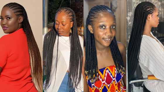 50+ cornrow rasta styles in 2022: amazing styles guaranteed to turn ...