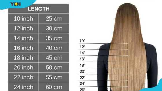 A comprehensive hair length chart for short, medium and long hair - YEN ...