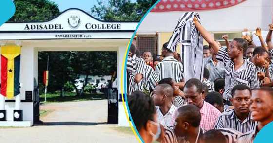 Adisadel Assault Video: Adisco Student's Parent Narrates How Law Has ...