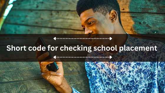 BECE school placement: Easy and complete step-by-step guide - YEN.COM.GH