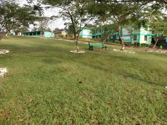 100 best senior high schools in Ghana (WAEC standard) 2024 - YEN.COM.GH